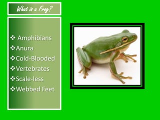 Frog presentation | PPTX | Reptiles | Pets