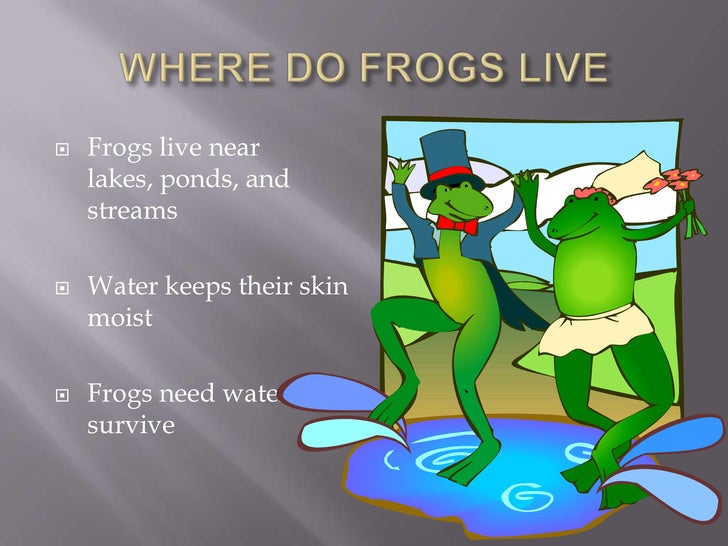 Frogs