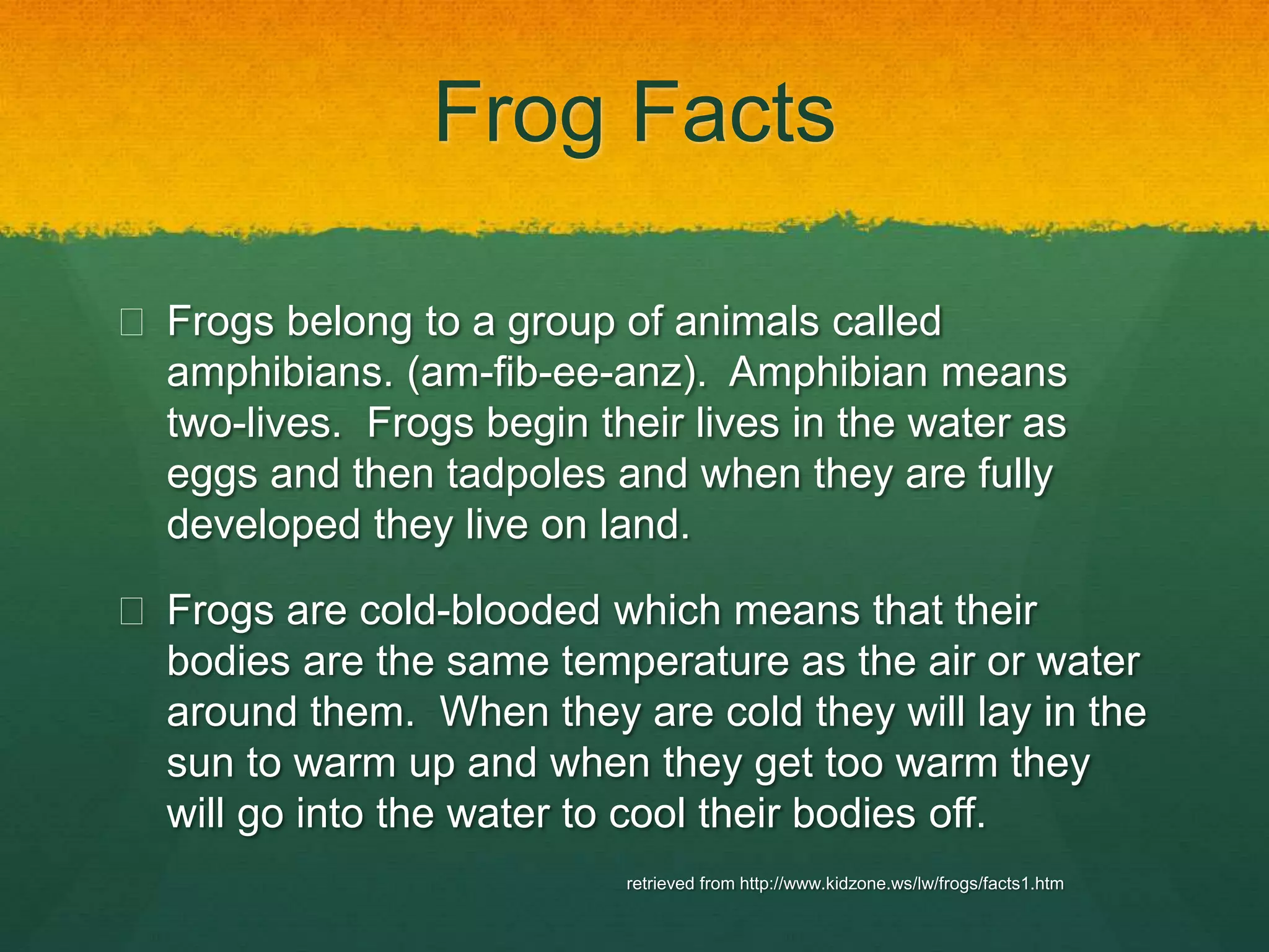 A Few Facts about Frogs | PPTX