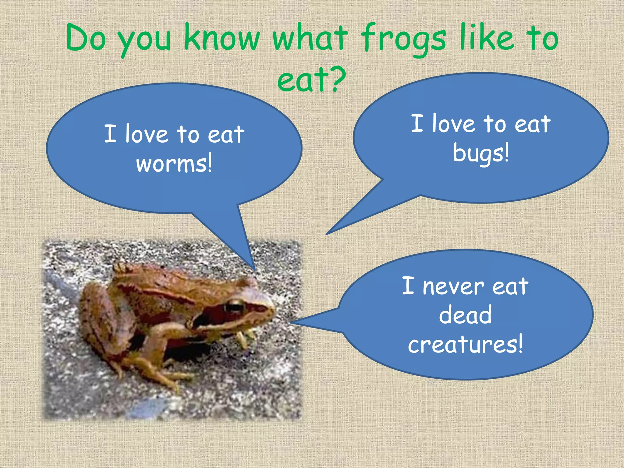 Frogs.ppt