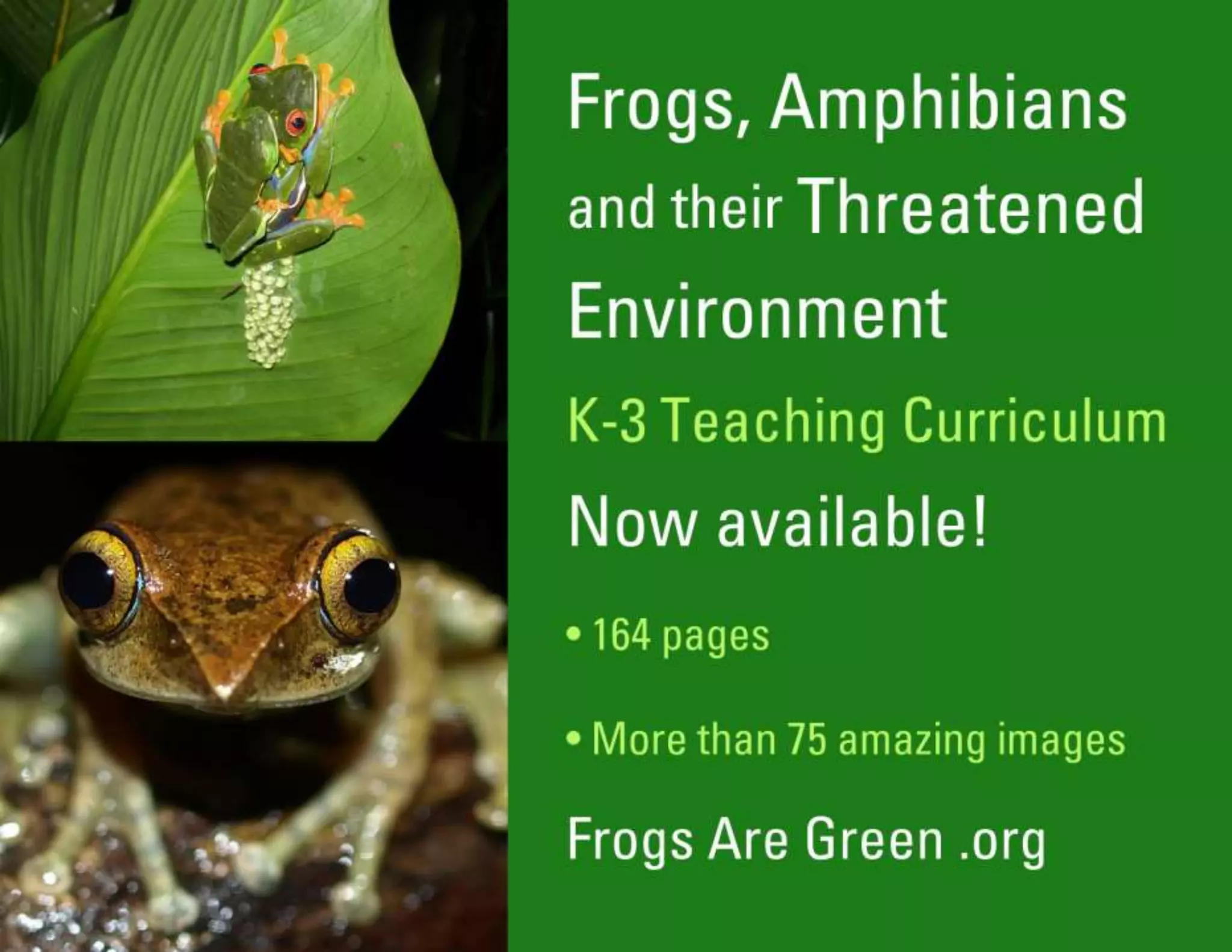 Frogs, Amphibians and their Threatened Environment - Discovery and ...