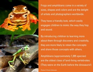Frogs, Amphibians and their Threatened Environment - Discovery and ...