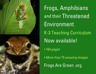 Frogs, Amphibians and their Threatened Environment - Discovery and ...