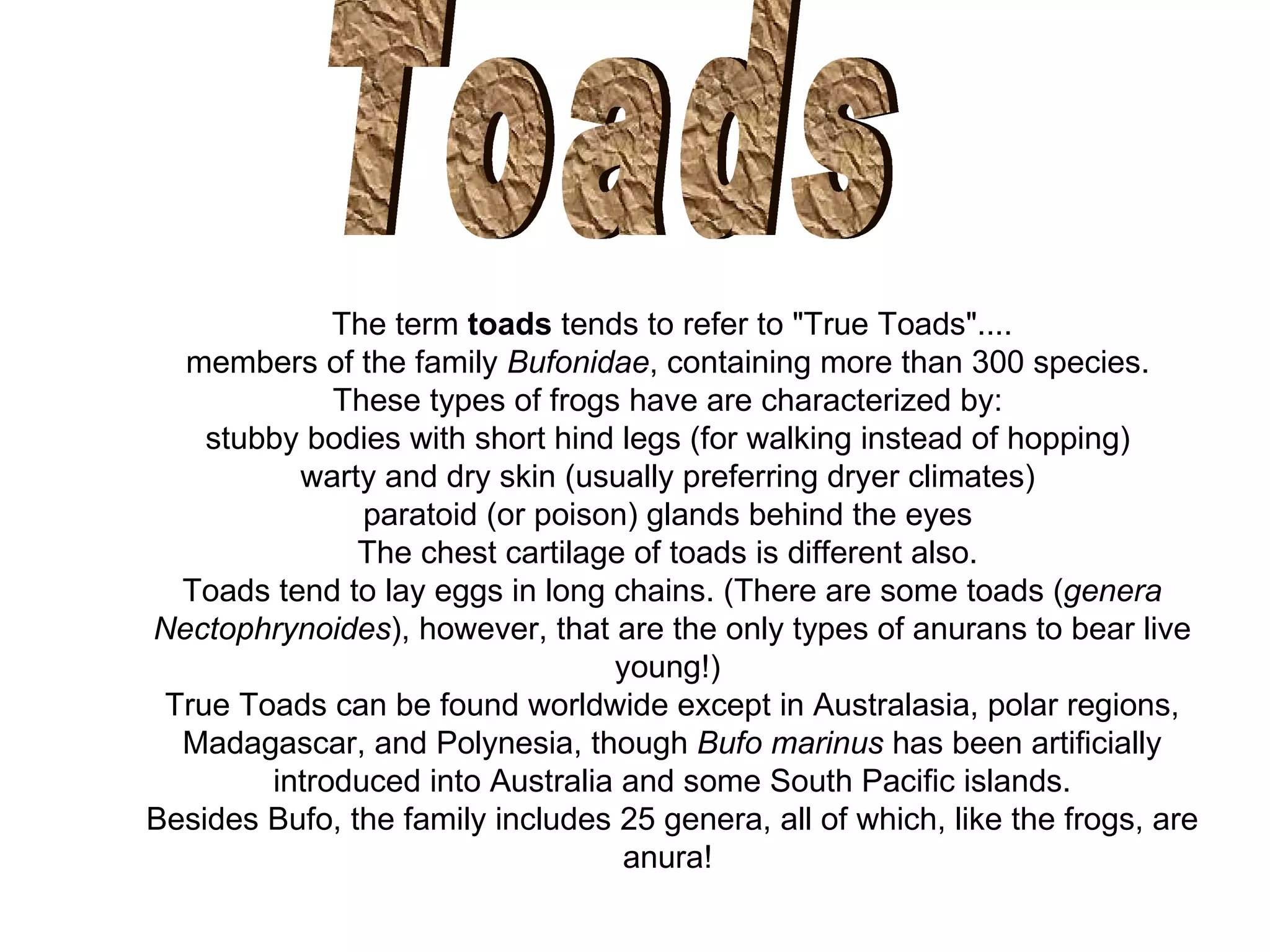Frogs and toads | PPT