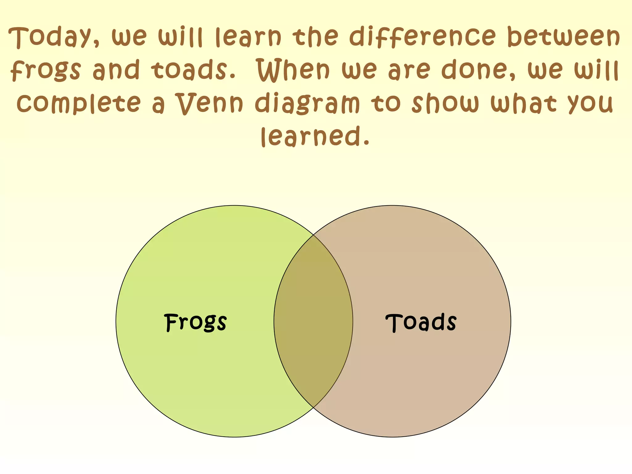Frogs and toads | PPT