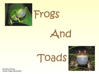 Frogs and toads | PPT