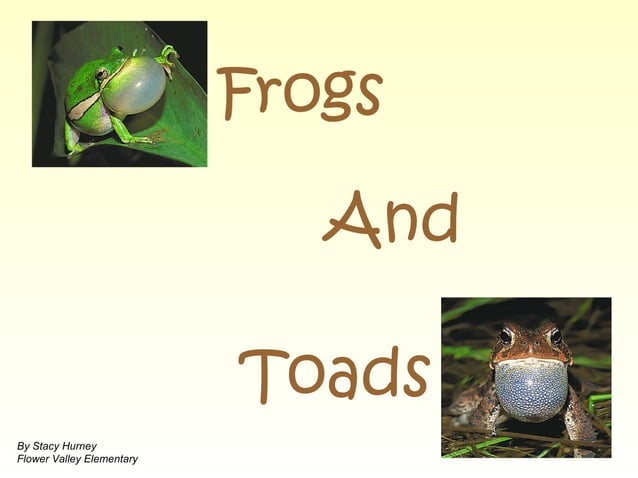 Frogs and toads | PPT