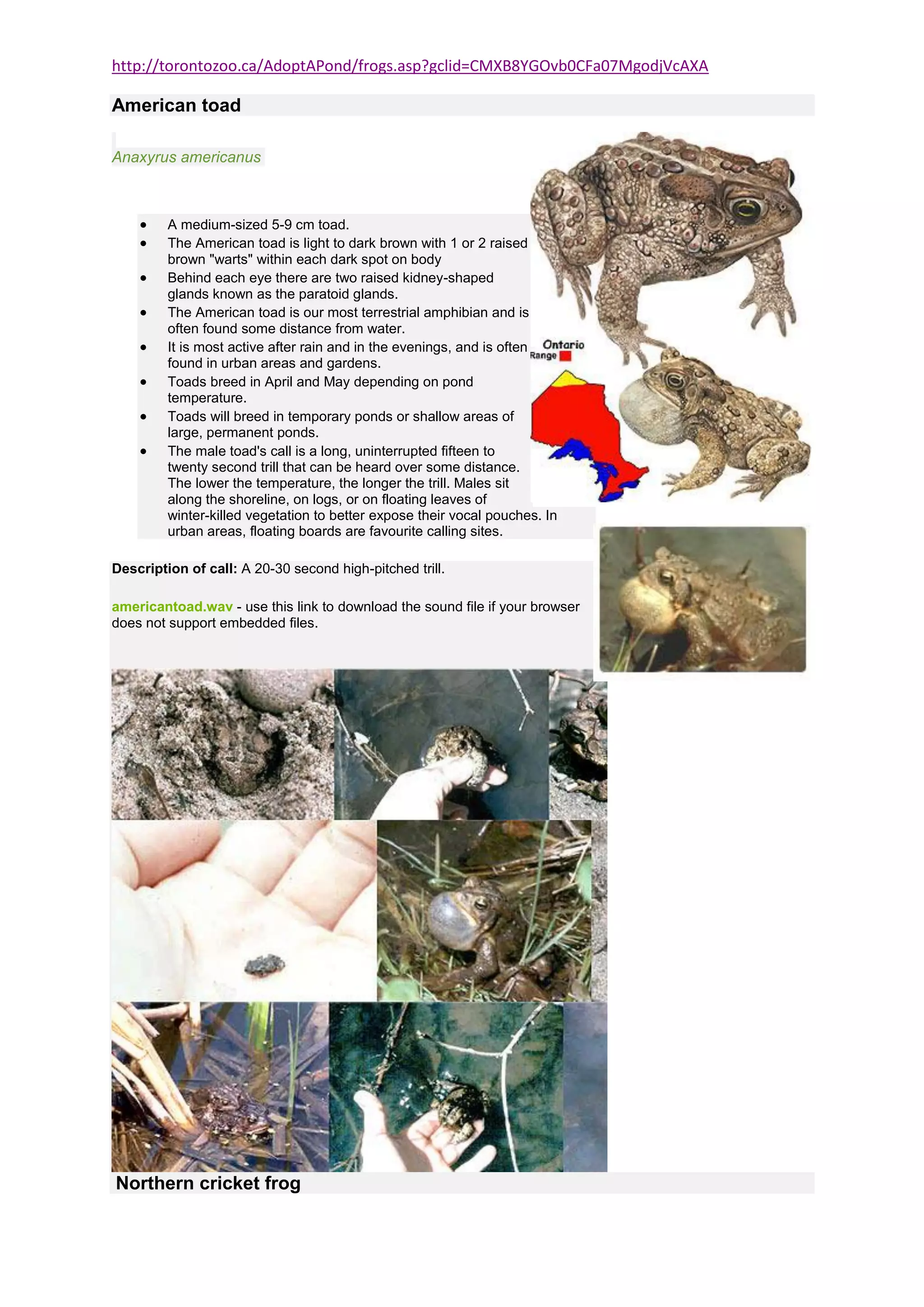 Frogs from toronto zoo site 13 varities | PDF