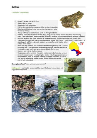 Frogs from toronto zoo site 13 varities | PDF