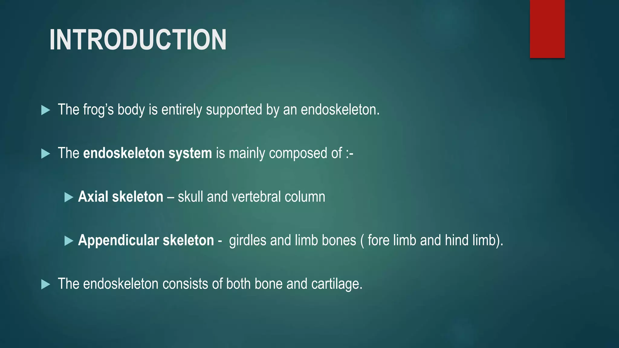 Frog skeletal system, bones, girdles | PPTX