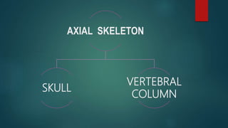Frog skeletal system, bones, girdles | PPTX