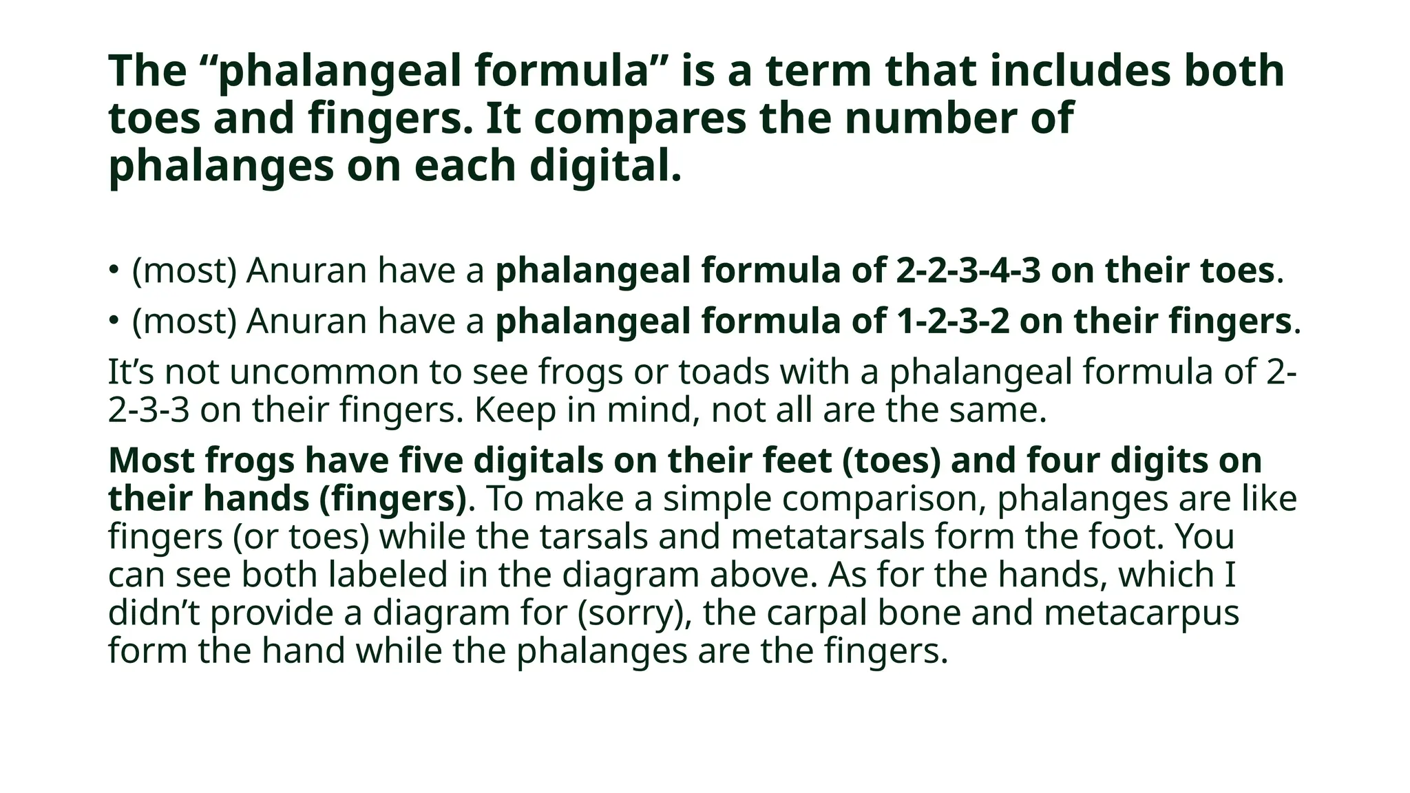 Instructional Material: Frog Skeleton System | PPTX