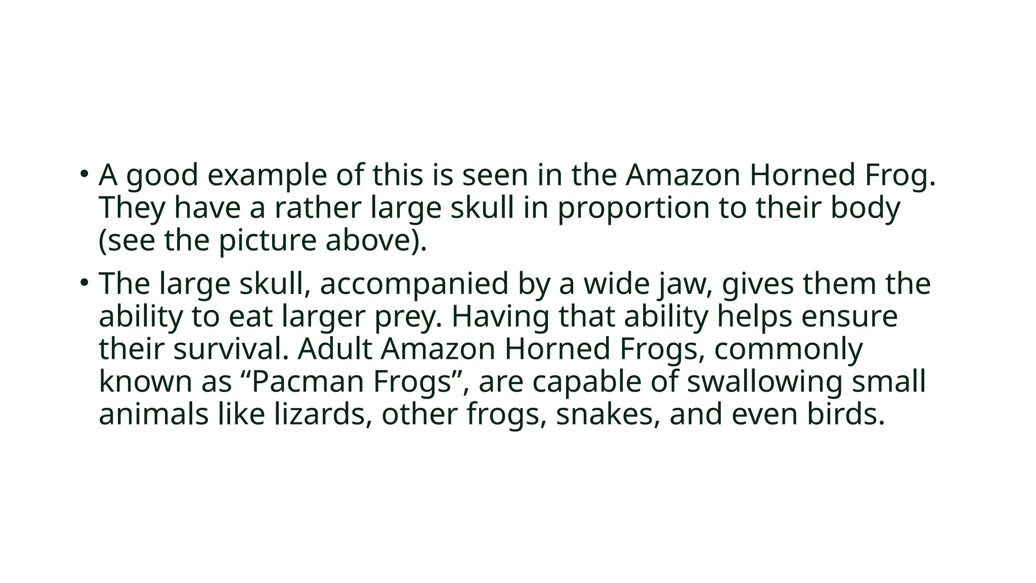 Instructional Material: Frog Skeleton System | PPTX