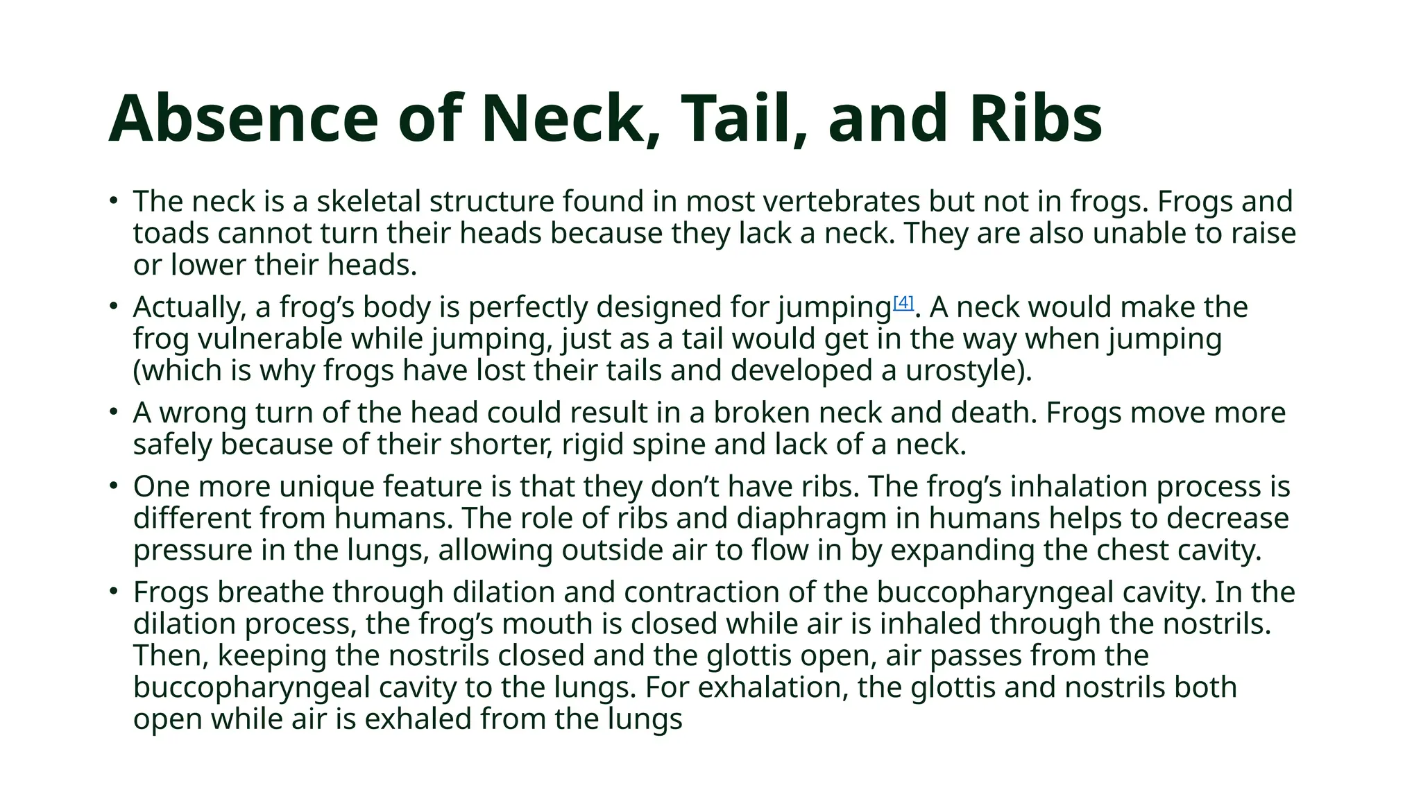 Instructional Material: Frog Skeleton System | PPTX