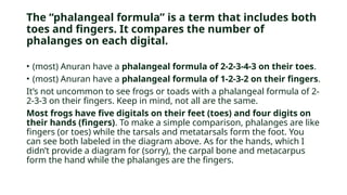 Instructional Material: Frog Skeleton System | PPTX
