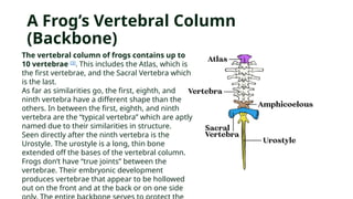 Instructional Material: Frog Skeleton System | PPTX