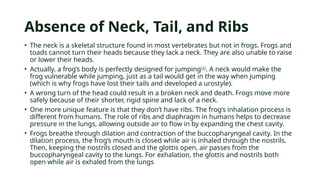Instructional Material: Frog Skeleton System | PPTX