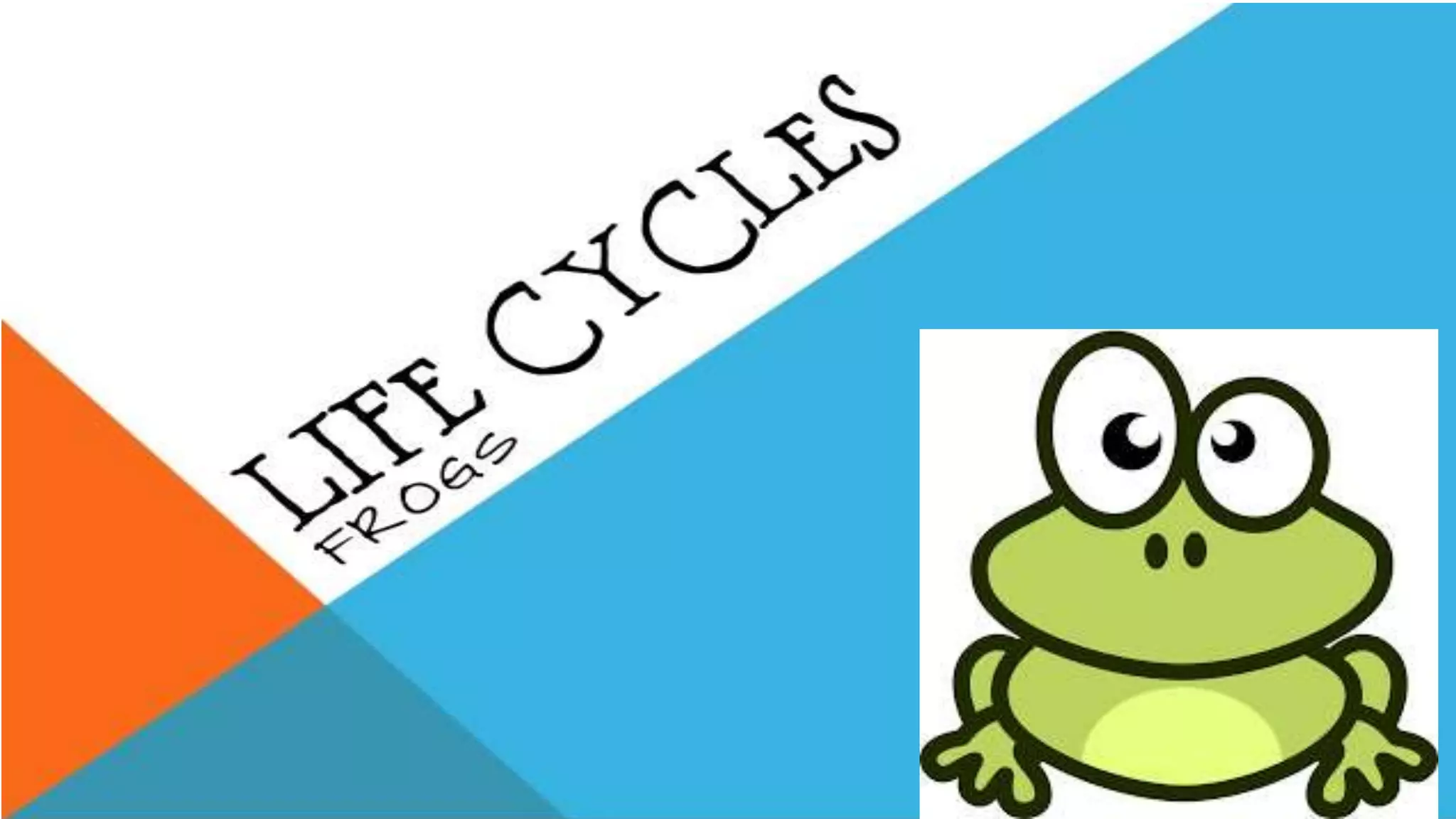 Frogs life cycle | PPTX | Biological Sciences | Science