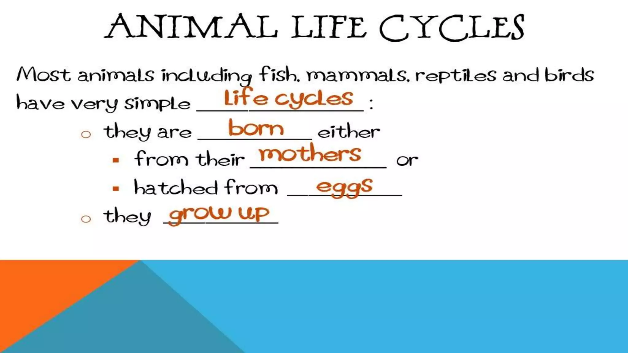 Frogs life cycle | PPTX