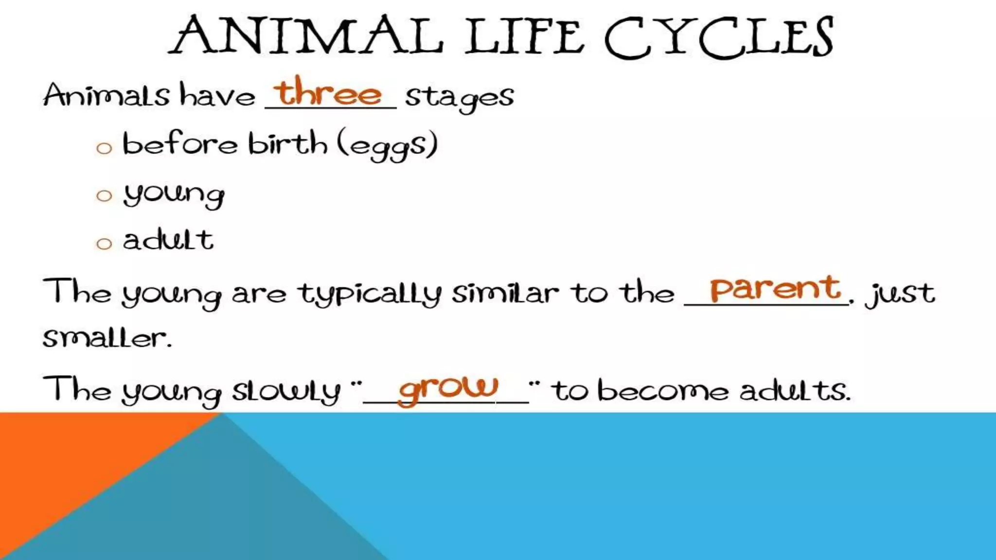 Frogs life cycle | PPTX