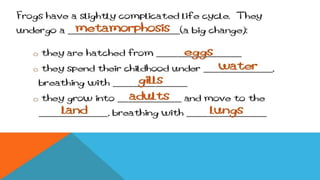 Frogs life cycle | PPTX