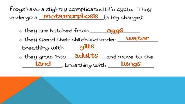 Frogs life cycle | PPTX | Biological Sciences | Science