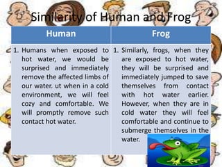 Frog vs human | PPTX