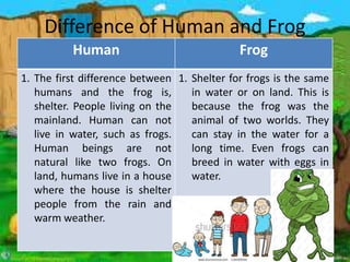 Frog vs human | PPTX