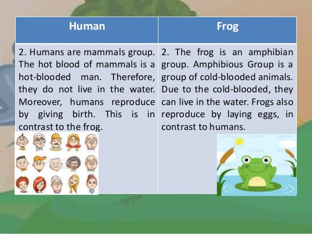 Frog vs human
