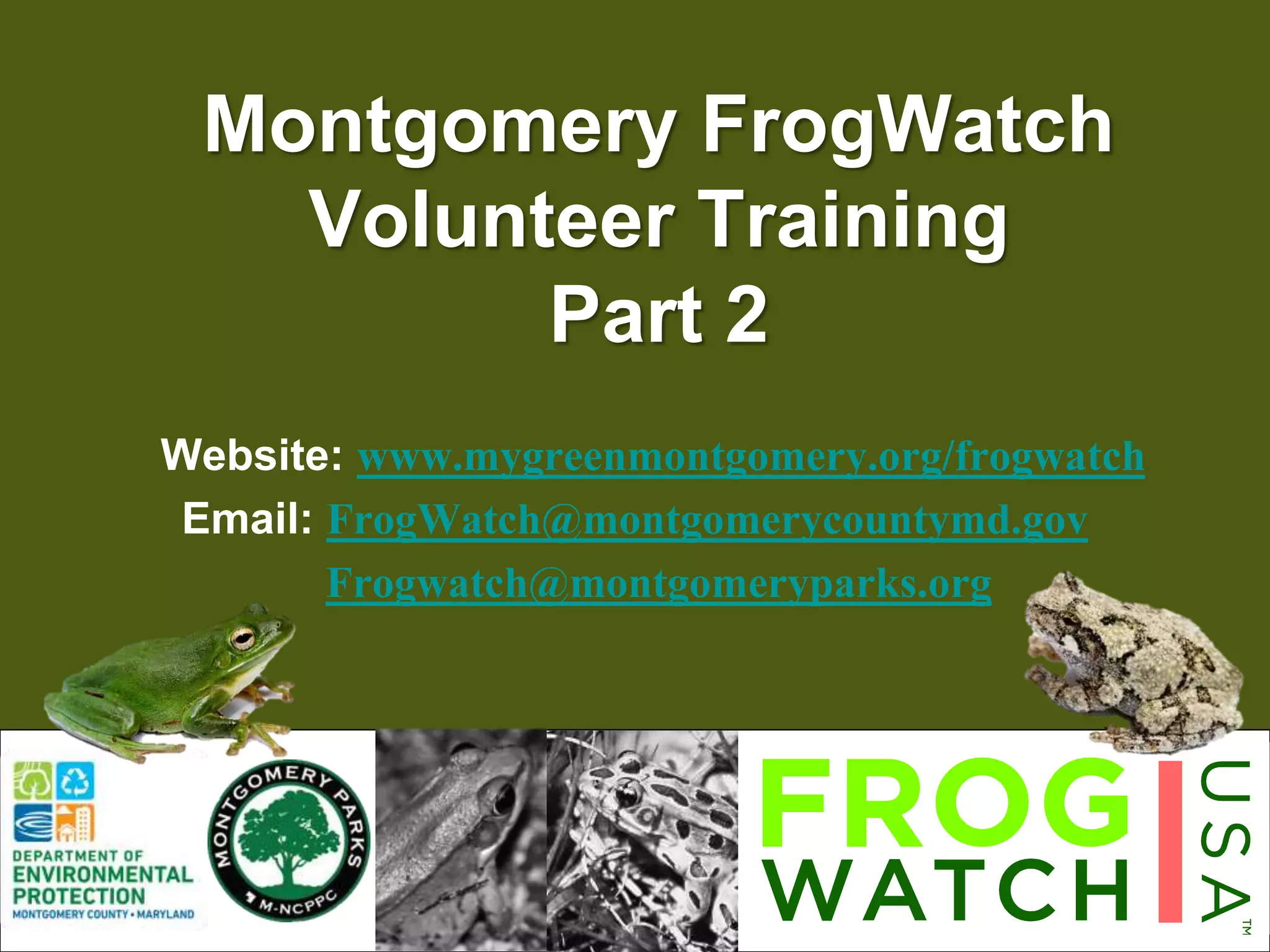 Frog watch 102 training | PPTX