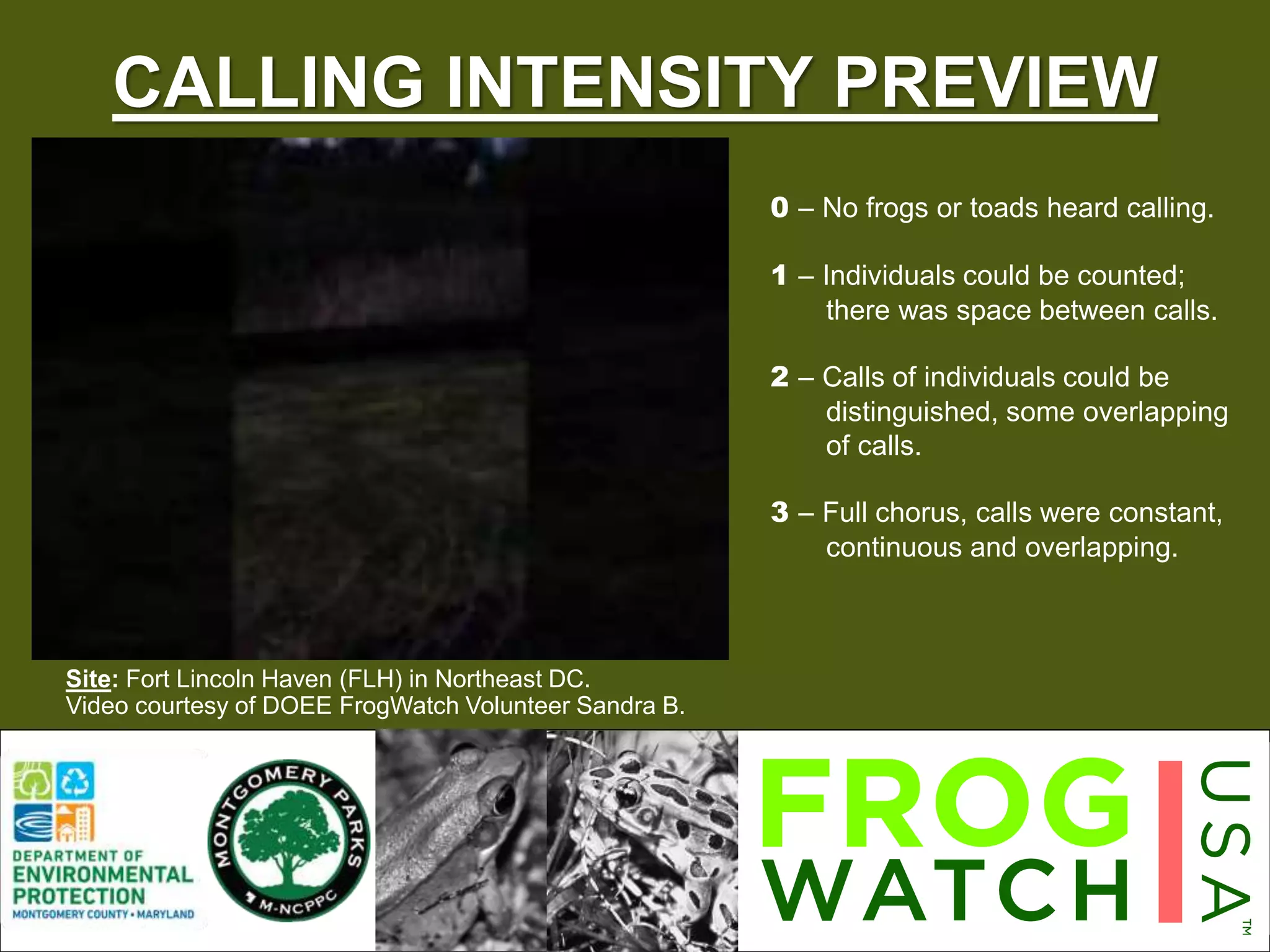 Frog watch 102 training | PPTX