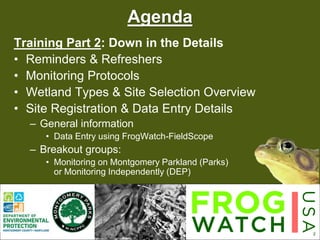 Frog watch 102 training | PPTX