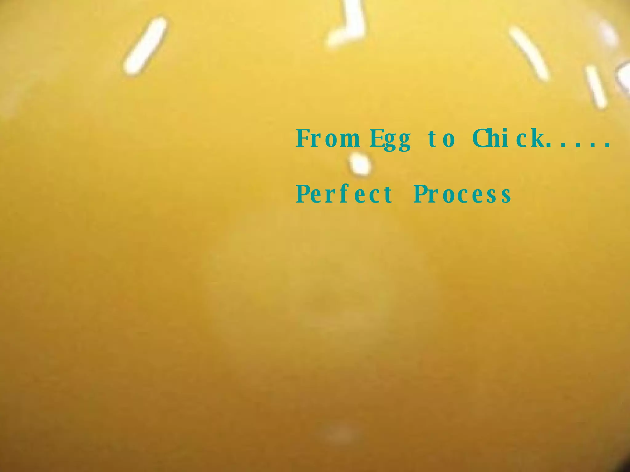 from egg to chick complete process | PPS