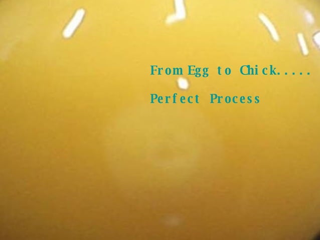 from egg to chick complete process | PPS