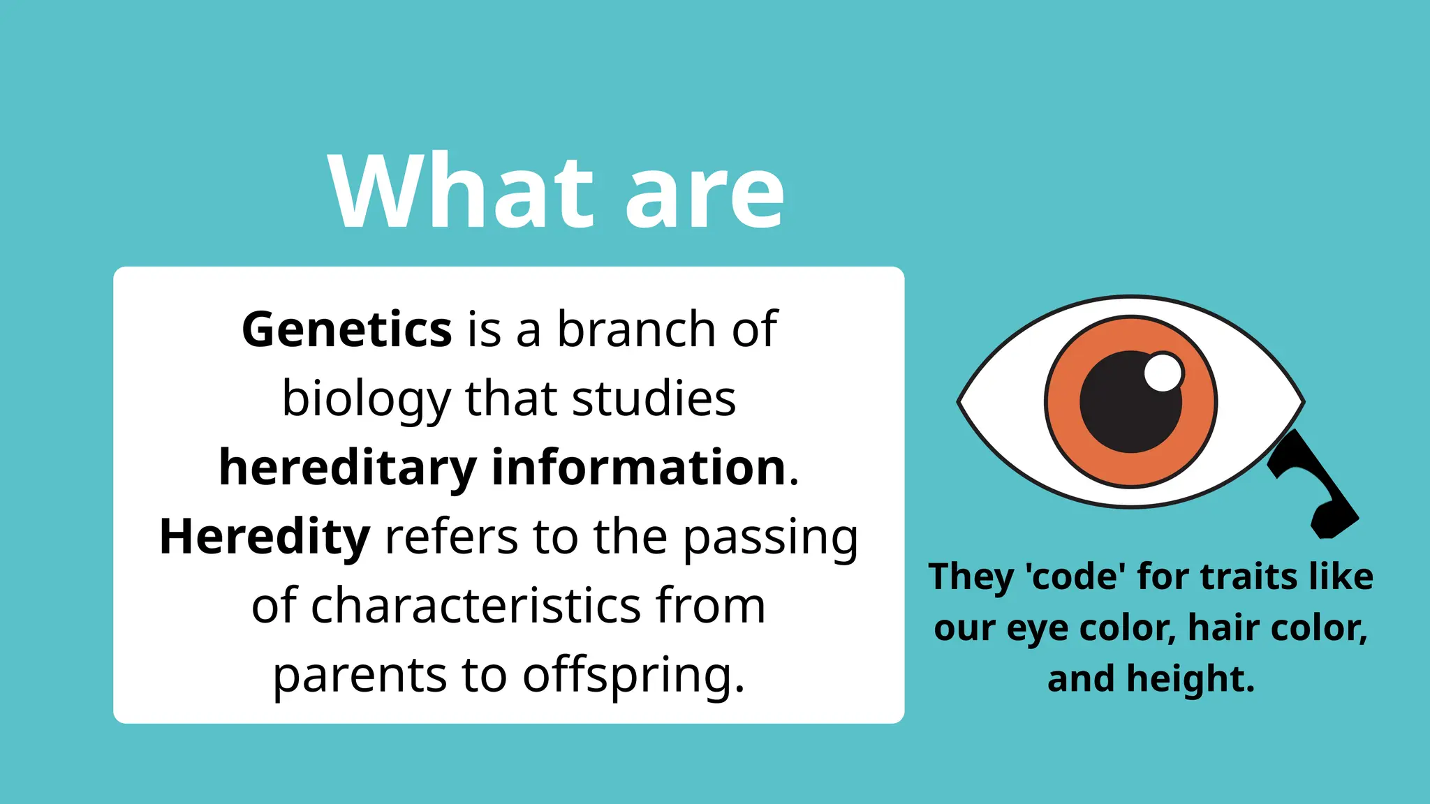 From-Parents-to-Offspring-Biology topics for General Biology.pptx