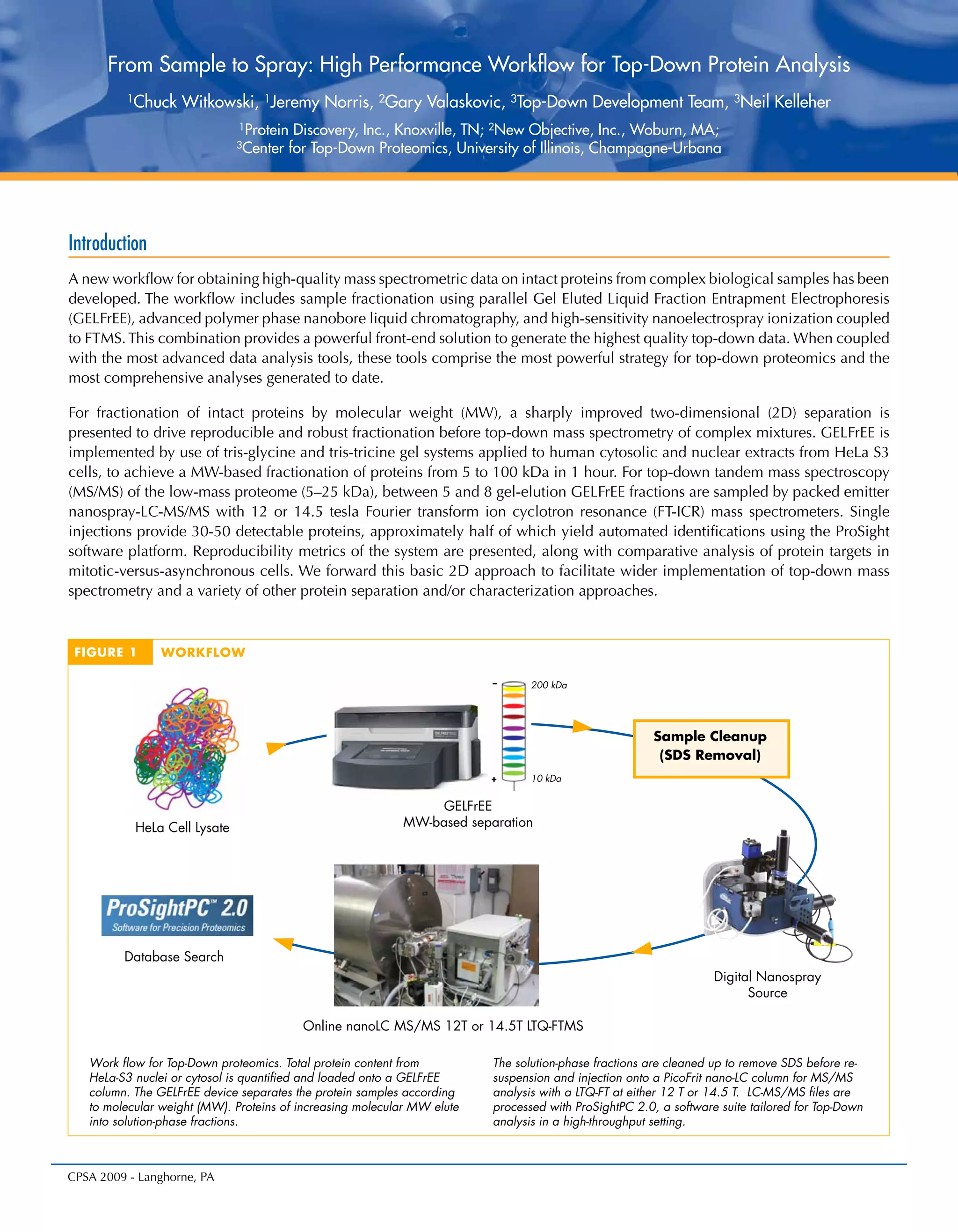 From sample-to-spray: high performance workflow for top down protein analysis | PDF