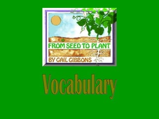 From seed to Plant | PPT