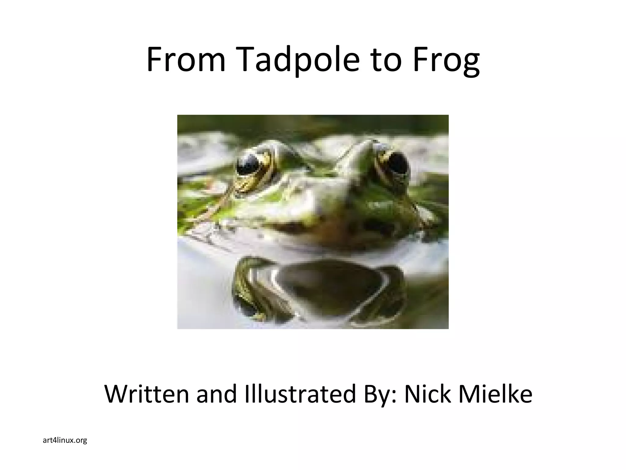 From Tadpole To Frog | PPT