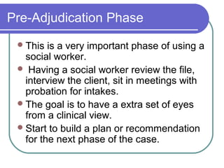 From adjudication to disposition | PPT