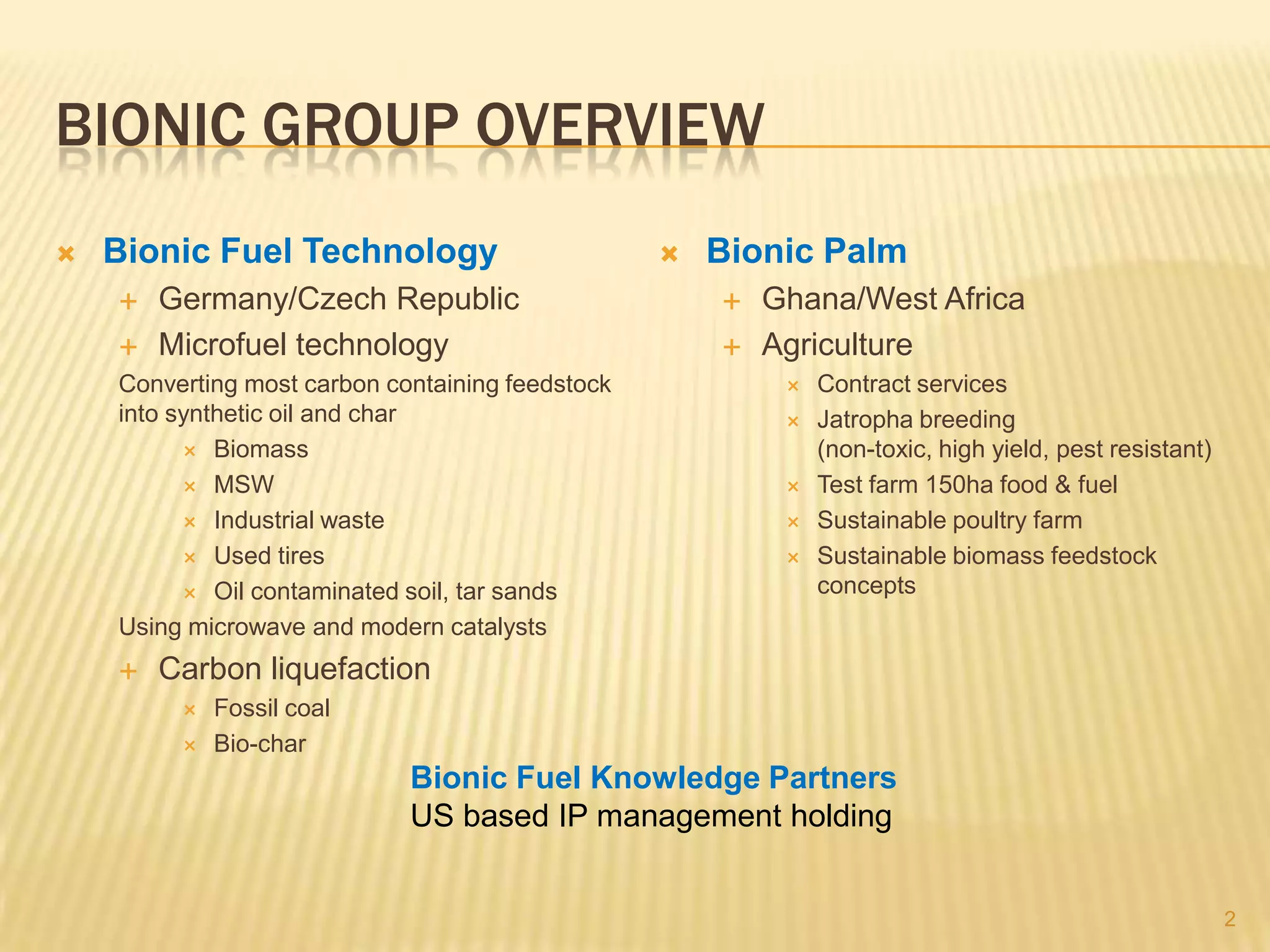 Bionic - From Biomass to Energy | PPTX