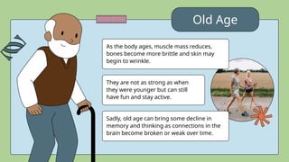 From Birth to Old Age Education Presentation in Simple Outlined Style.pptx