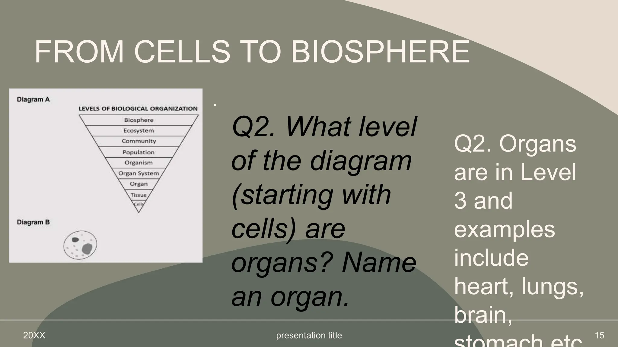 From cell to biosphere, science learning | PPTX