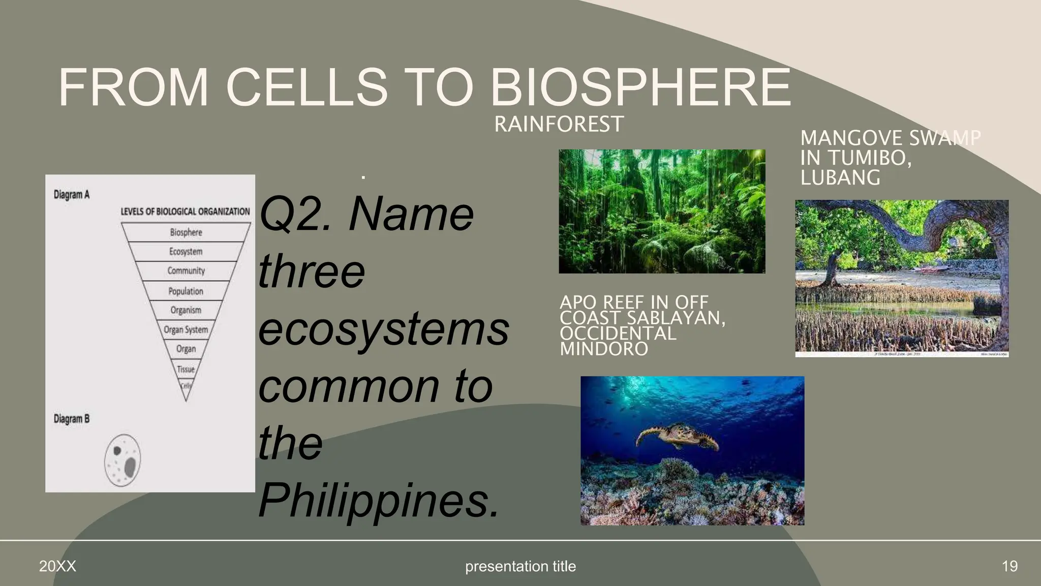From cell to biosphere, science learning | PPTX