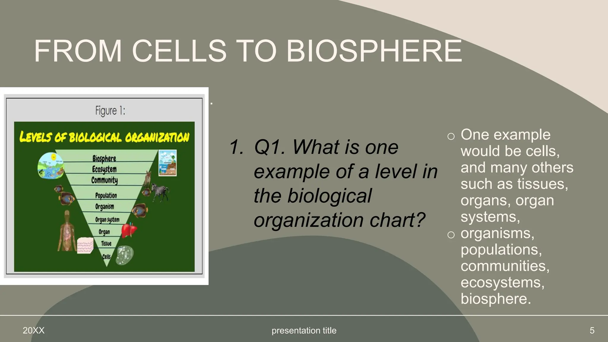 From cell to biosphere, science learning | PPTX