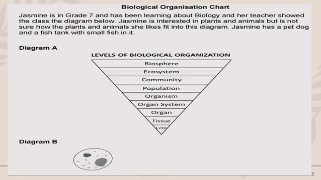 From cell to biosphere, science learning | PPTX | Biological Sciences ...