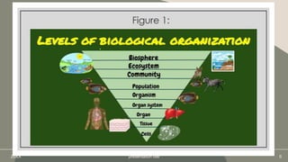 From cell to biosphere, science learning | PPTX