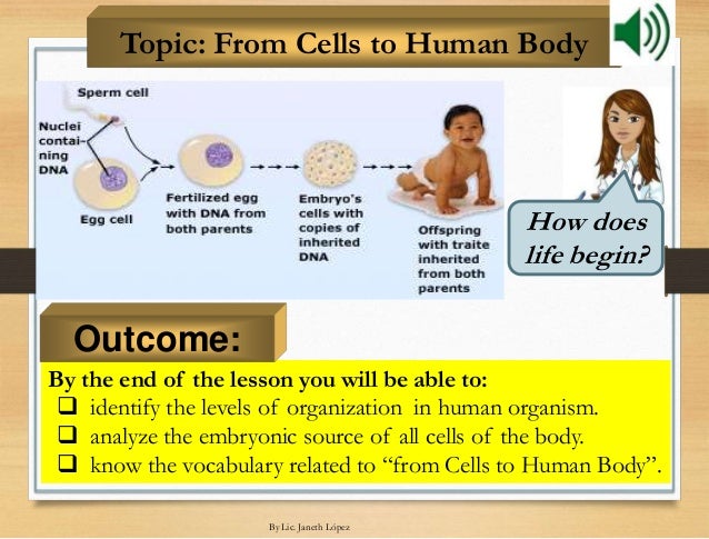 From cells to human body