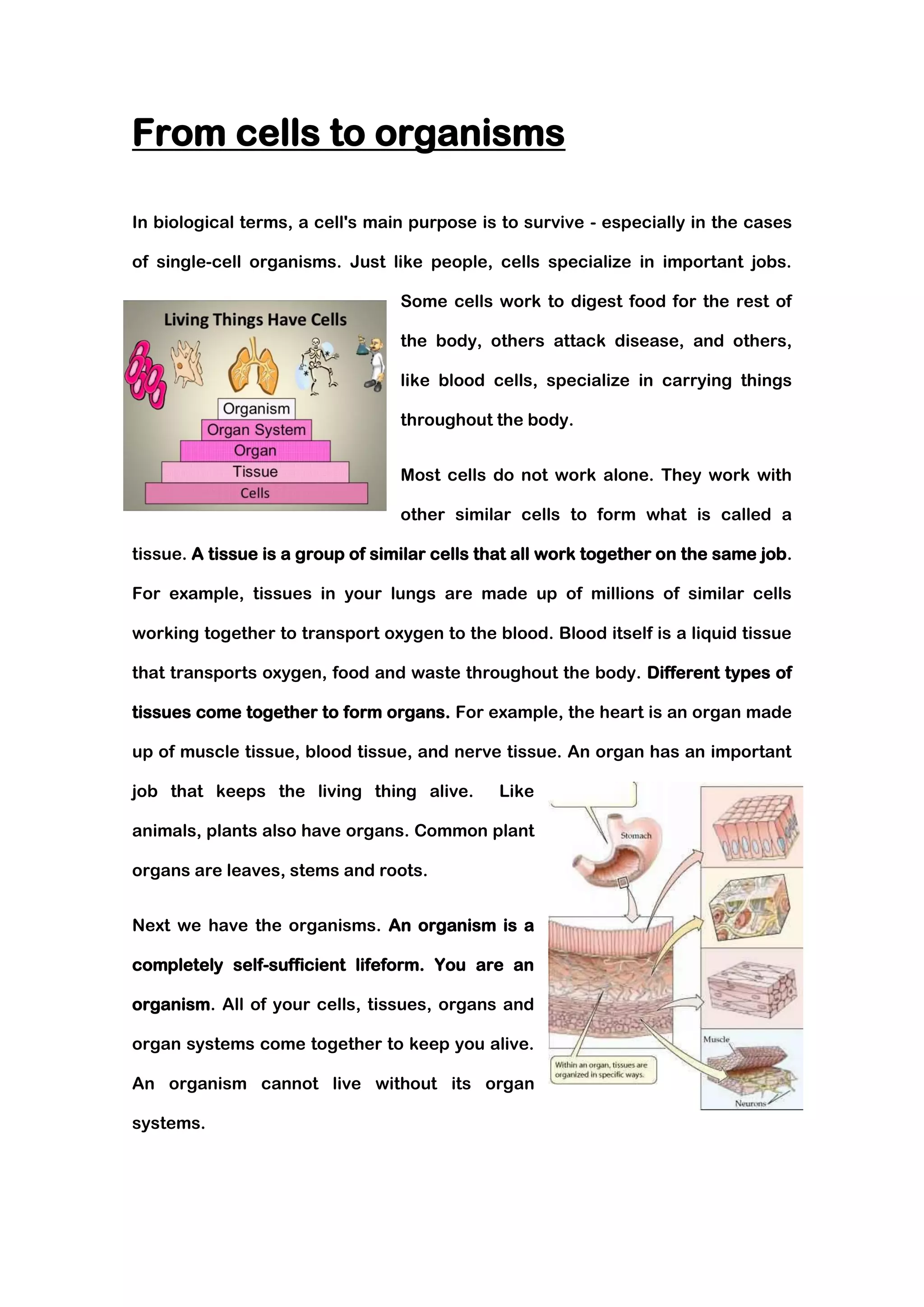 From cells to organisms | PDF | Biological Sciences | Science