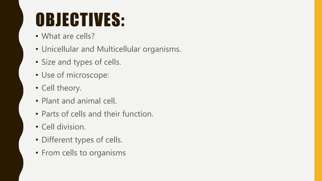 From Cells to Organisms | PPT