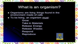FROM CELL TO ORGANISM.pptx